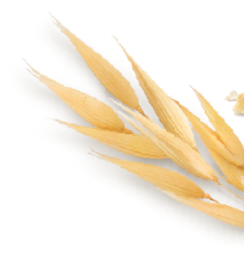 New Zealand Oats for Wholesome Meals | Harraways Oats